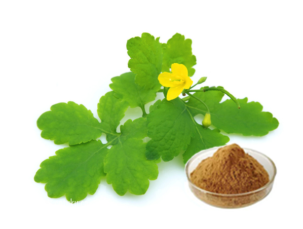 Plant Extract, Plant Extract Products, Plant Extract Manufacturers ...