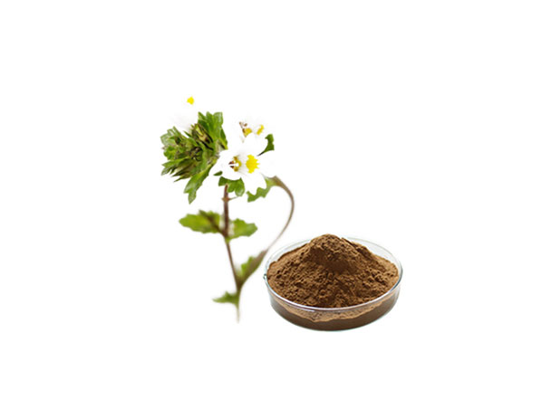 Plant Extract, Plant Extract Products, Plant Extract Manufacturers ...