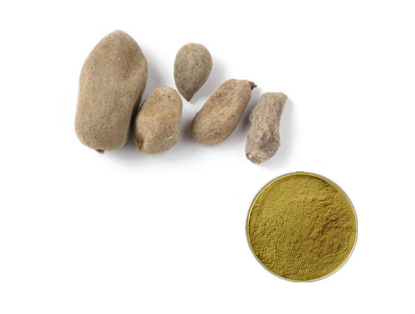 Gallnut Extract - Buy Gallnut Extract, Gallnut Tannic Acid, Gallic Acid ...