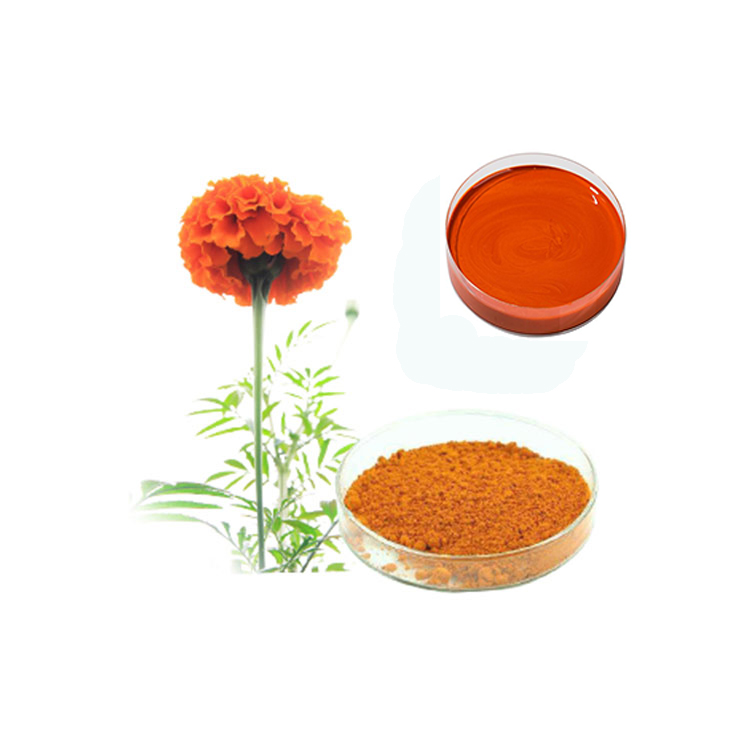 Marigold Extract,Lutein And Zeaxanthin - Buy oil, plant powder ...