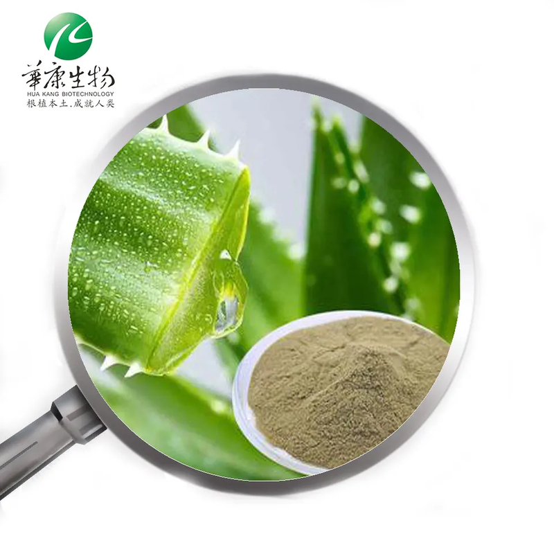 Aloe Vera Extract - Buy Aloe Vera Extract, Aloin Aloe Vera Extract ...