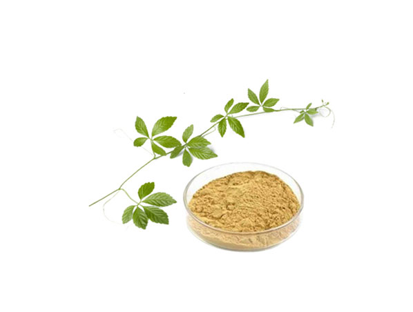 Plant Extract, Plant Extract Products, Plant Extract Manufacturers ...