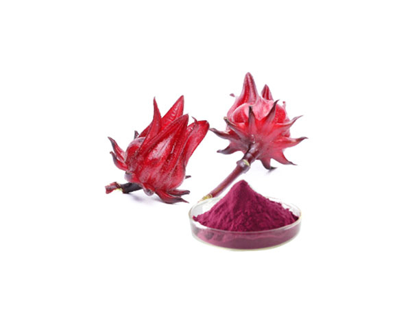 Roselle Extract - Buy Roselle Extract, Hibiscus sabdariffa L., Hibiscus ...